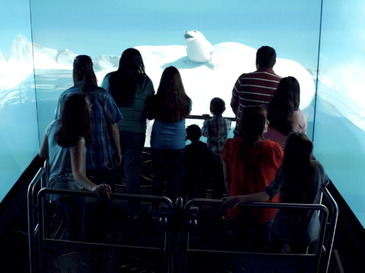 Polar Journey – Attraktion!