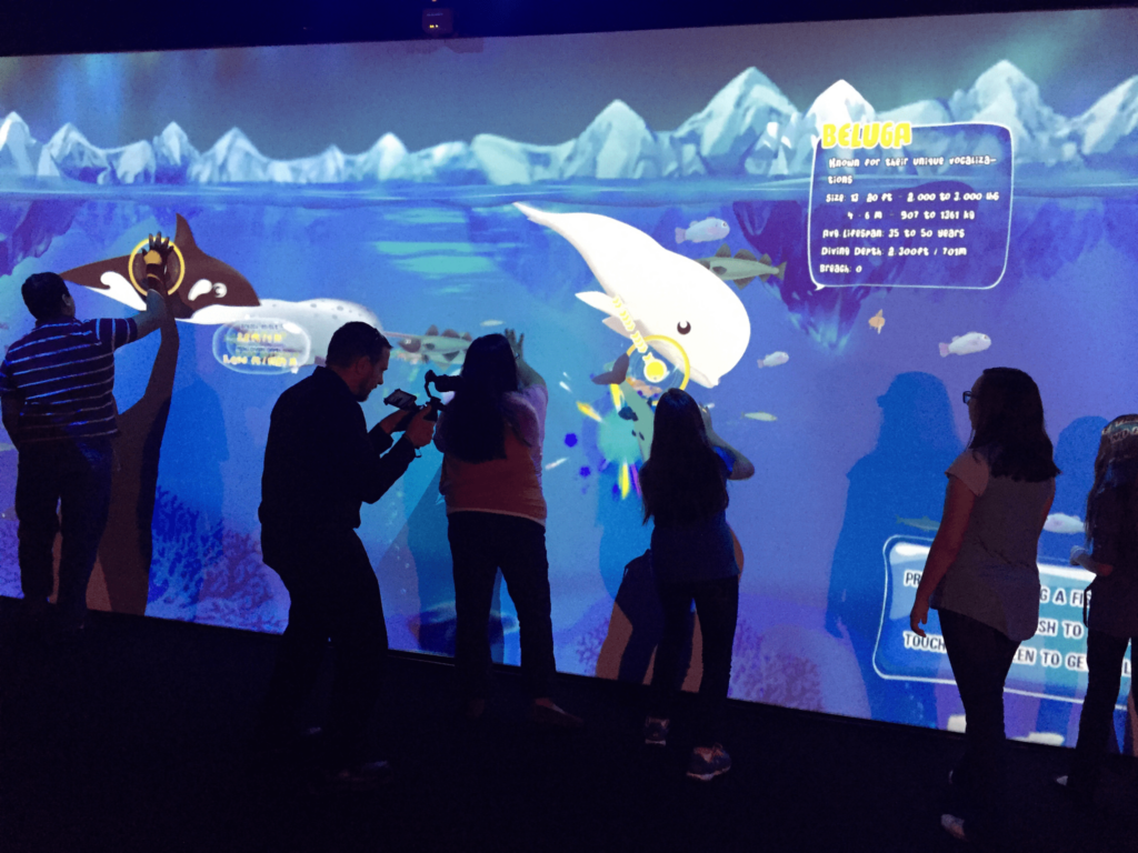 Polar Journey – Attraktion!